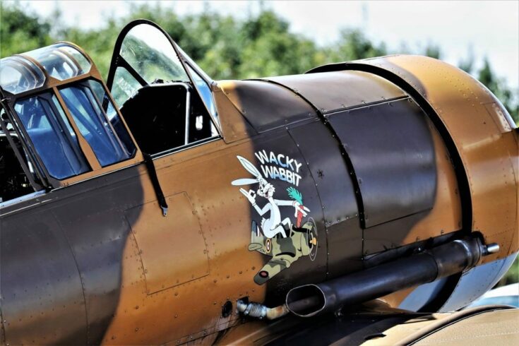 SPONSORSHIP - Sponsor "The Wacky Wabbit" T6 Harvard Ltd Warbird Experience